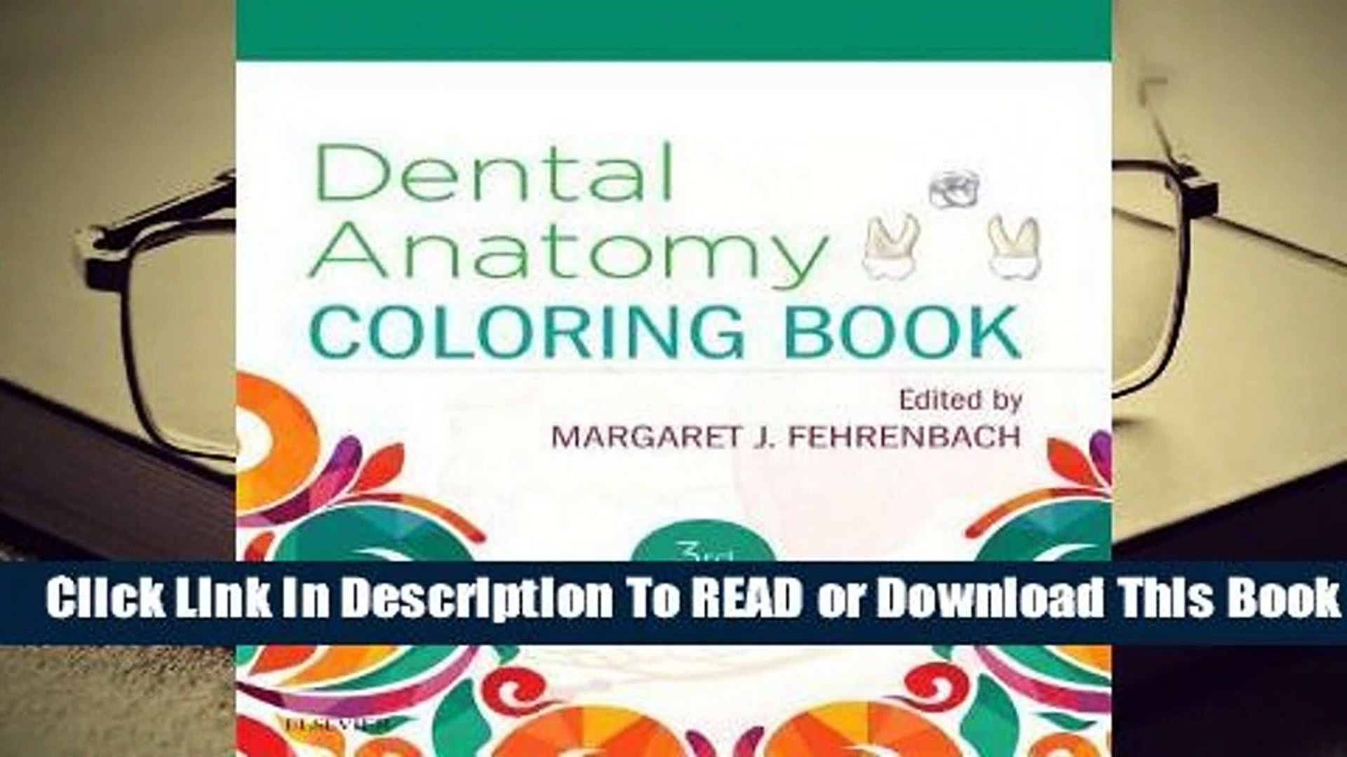 Dental Anatomy Coloring Pages