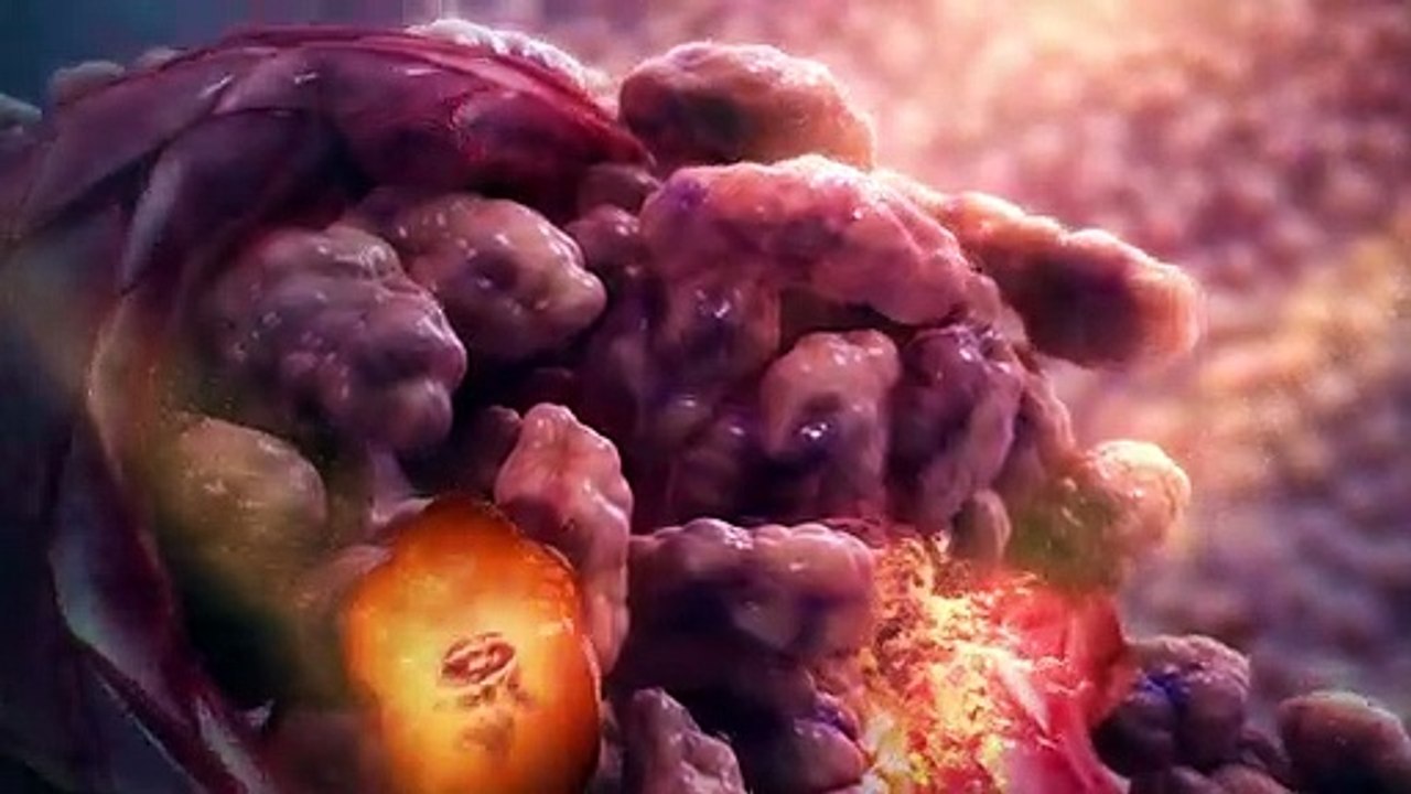 CANCER THERAPY ANIMATION | MOA | PHARMACOLOGY - video Dailymotion