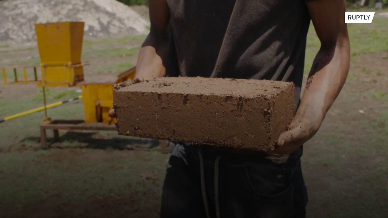 Homes built using bricks made from SEAWEED that’s plaguing Mexico’s ...