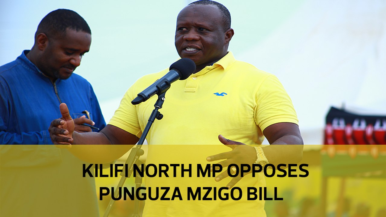Kilifi North MP opposes Punguza Mzigo bill - video Dailymotion