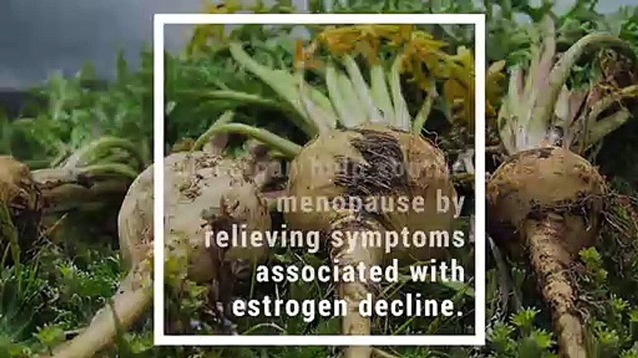 7 Amazing Benefits of Maca Root For Men & Women - video Dailymotion