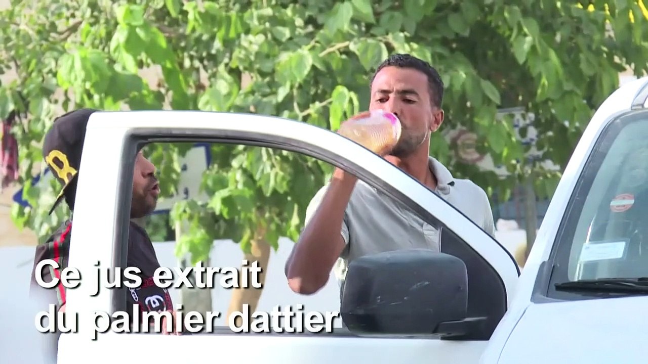 En Tunisie, les saveurs du legmi, fragile "cadeau" du palmier dattier ...