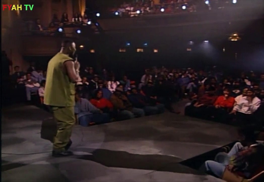 Reggie Mcfadden Def Comedy Jam 2nd Time S3e5 95 Video Dailymotion 0518
