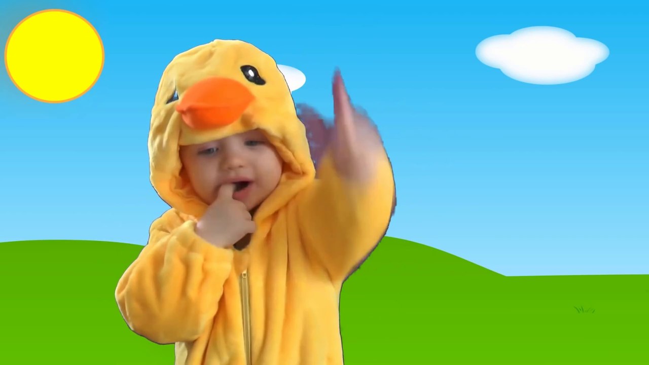 the duck song live verson - video Dailymotion