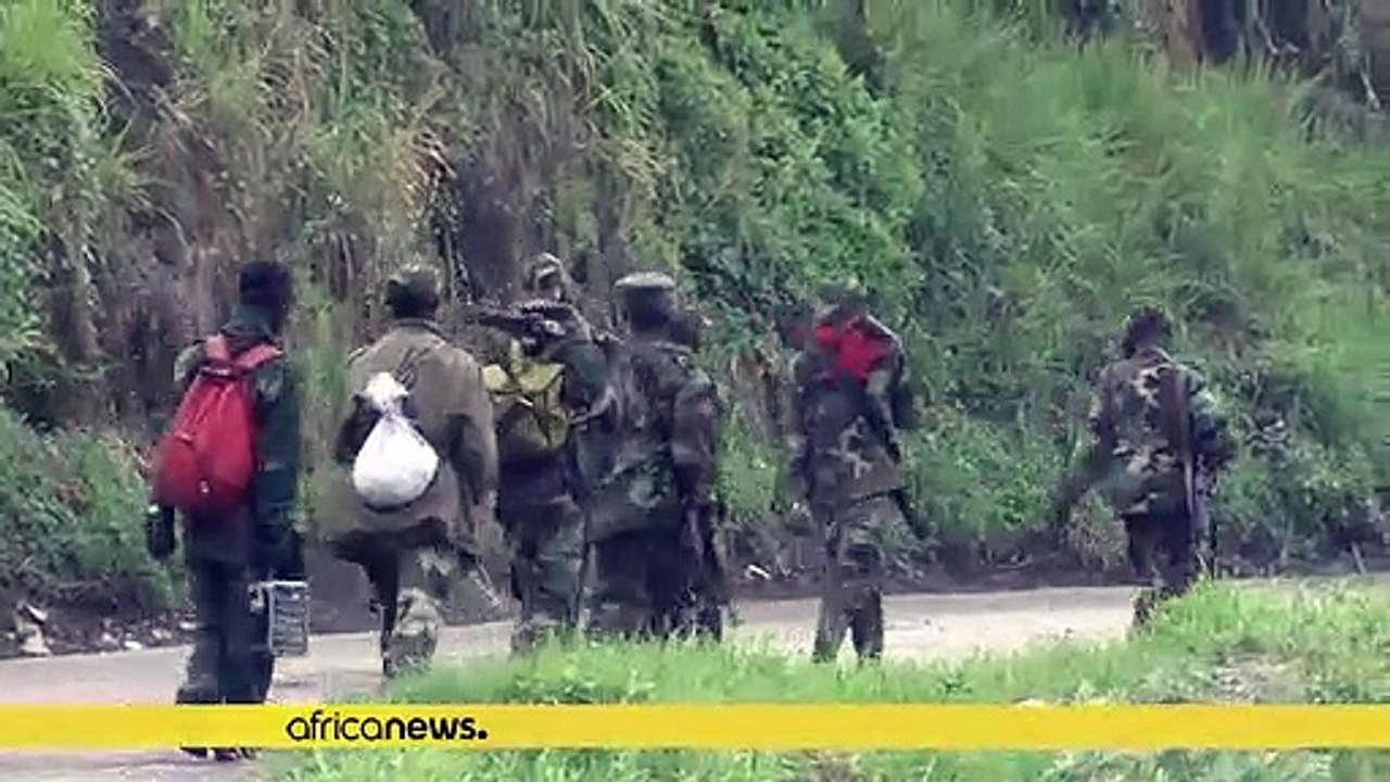 Rwanda welcomes killing of Hutu militia commander in DRC - video ...
