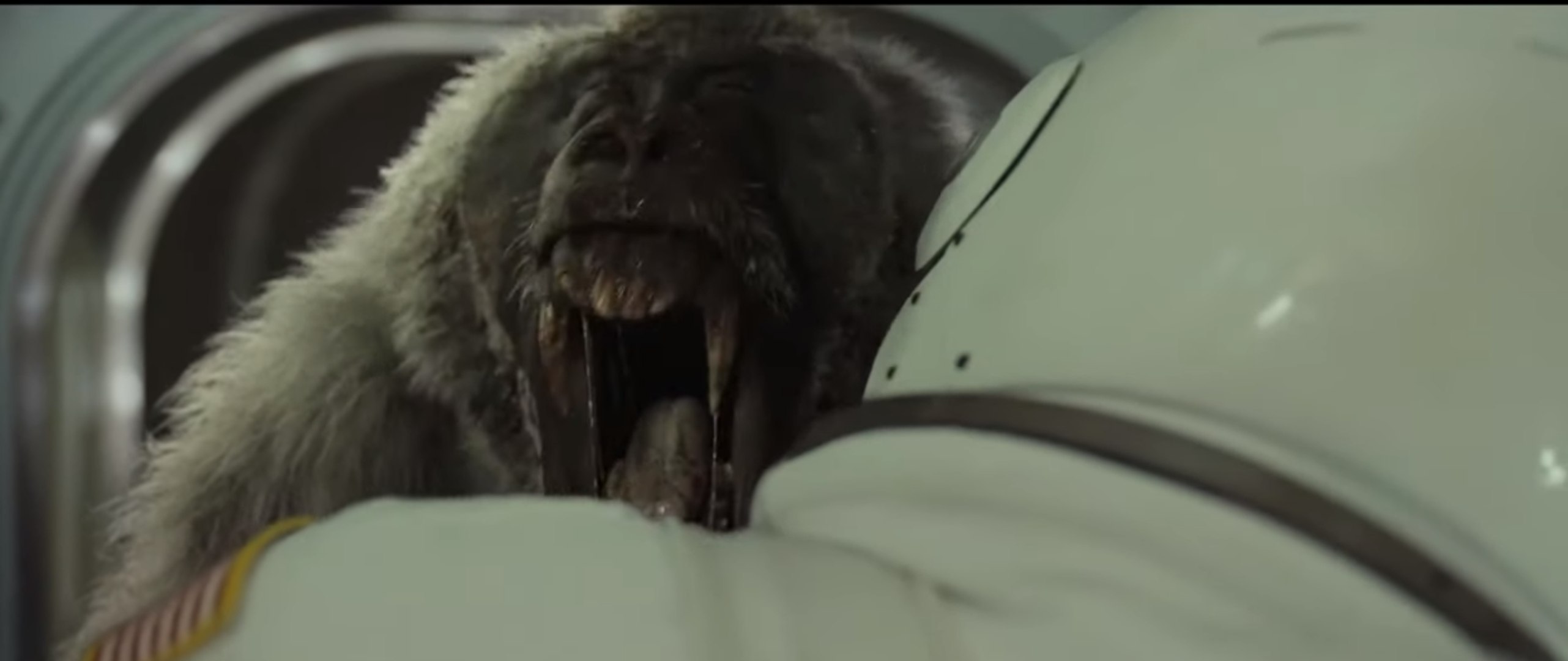 Monkey Astronaut Movie Able The Space Monkey | Night At The Museum