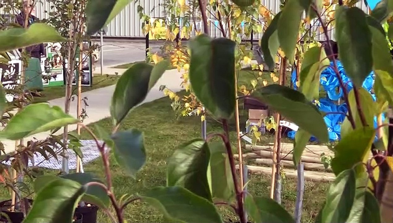 Atlas Copco plant 100 Trees in Deeside! - video Dailymotion