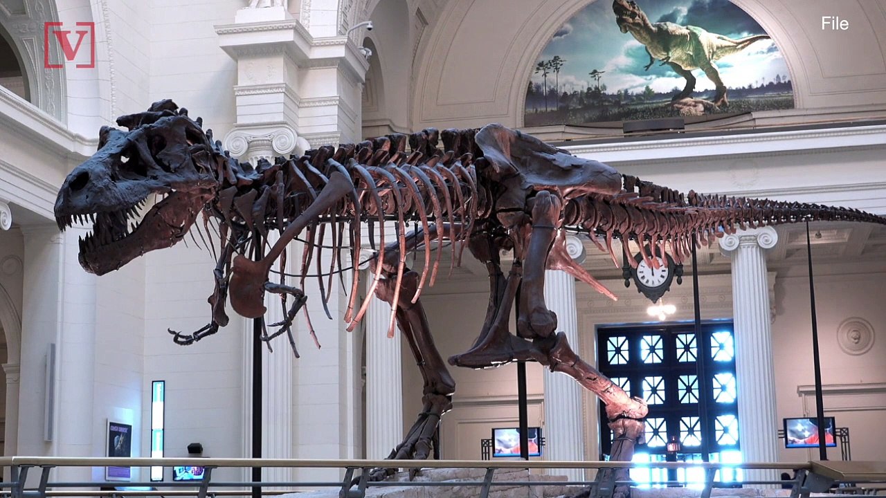 Acid Rain Wiped Out the Dinosaurs - video Dailymotion