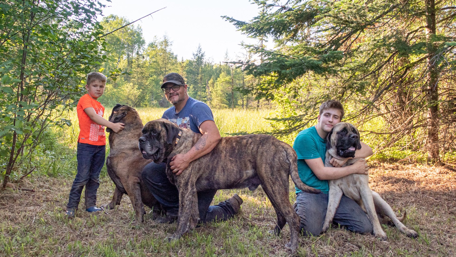Are Spanish Mastiff Noisy