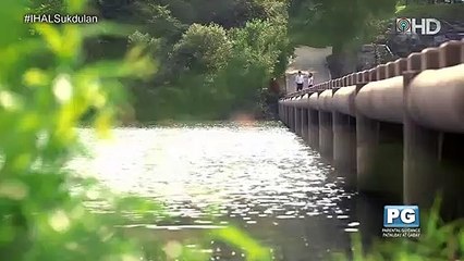 Pinoy Flix Pinoy Tambayan Pinoy TV Pinoy Channel videos - Dailymotion