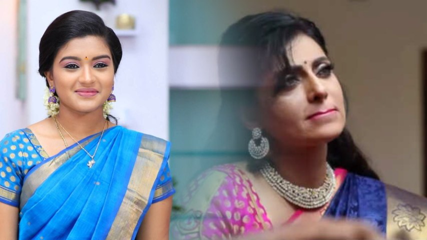 Sembaruthi Serial: செம்பருத்தி செம்பருத்தி.. பூவைப் போல பெண்ணொருத்தி ...