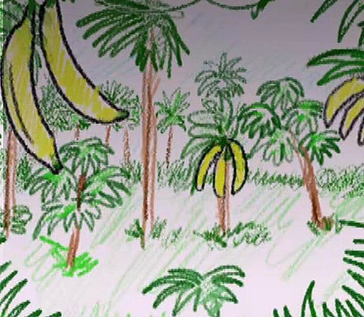 Baby Einstein World Animals A Musical Safari