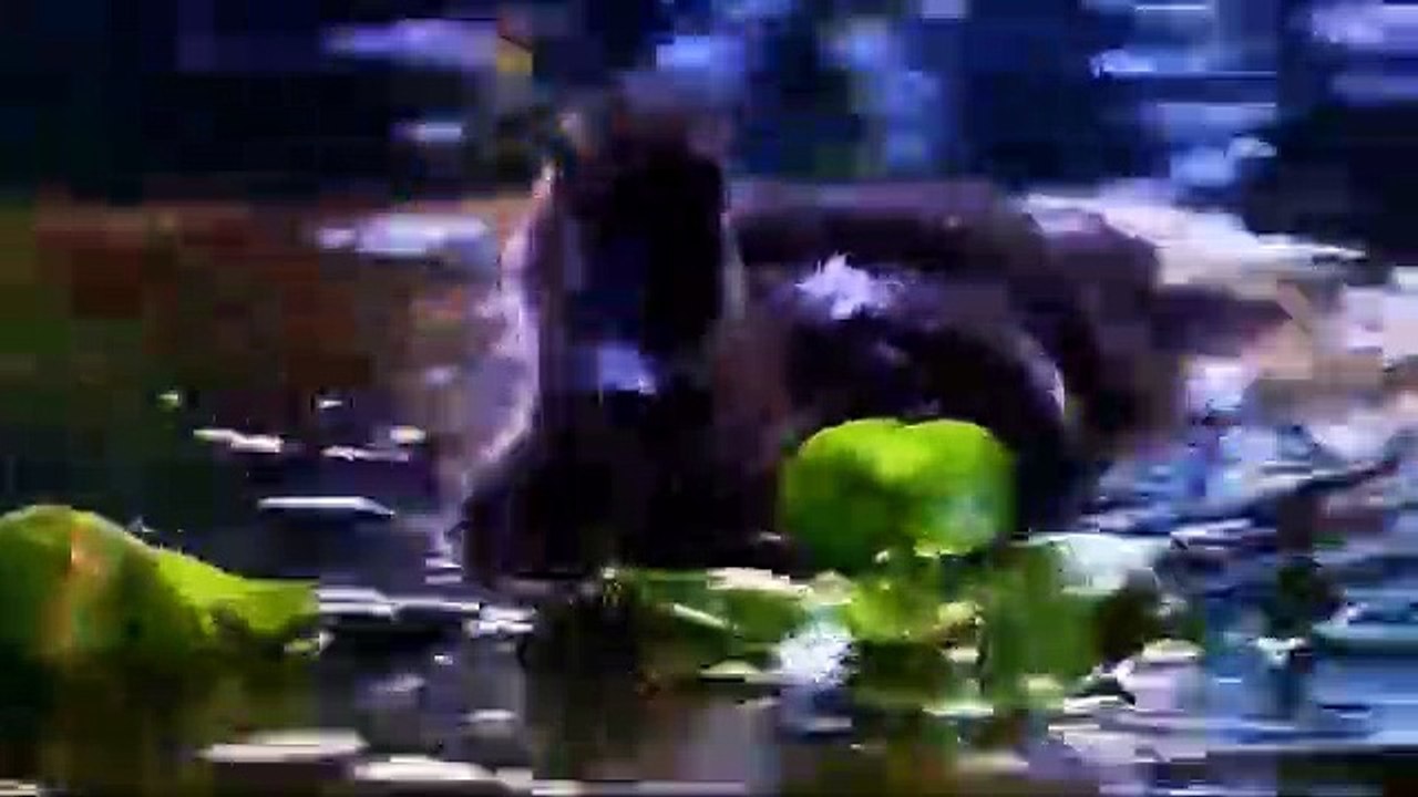 Crocodile vs Python Most Amazing Attack of Animals Hunter becomes the ...