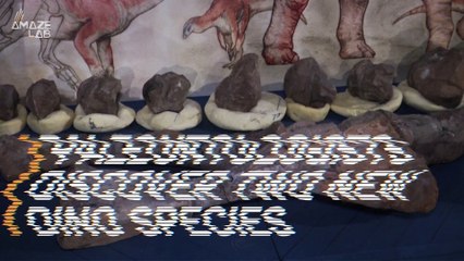 Amaze Lab videos - dailymotion