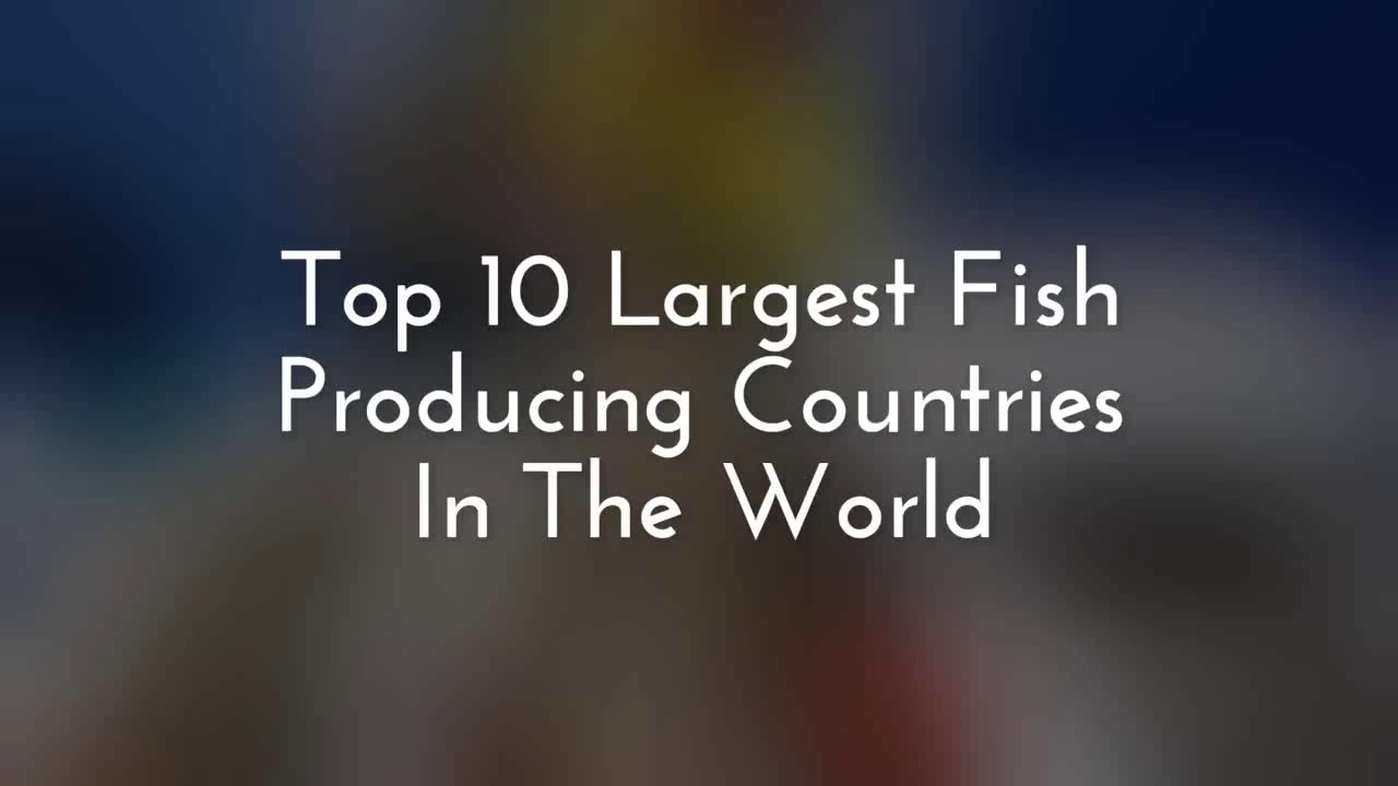 Top 10 Largest Fish Producing Countries In The World - video Dailymotion