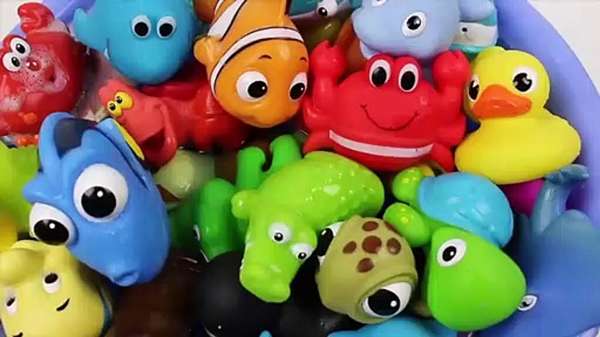 Watch Learn Sea Animals Names Education Video For Kids Prime Video
