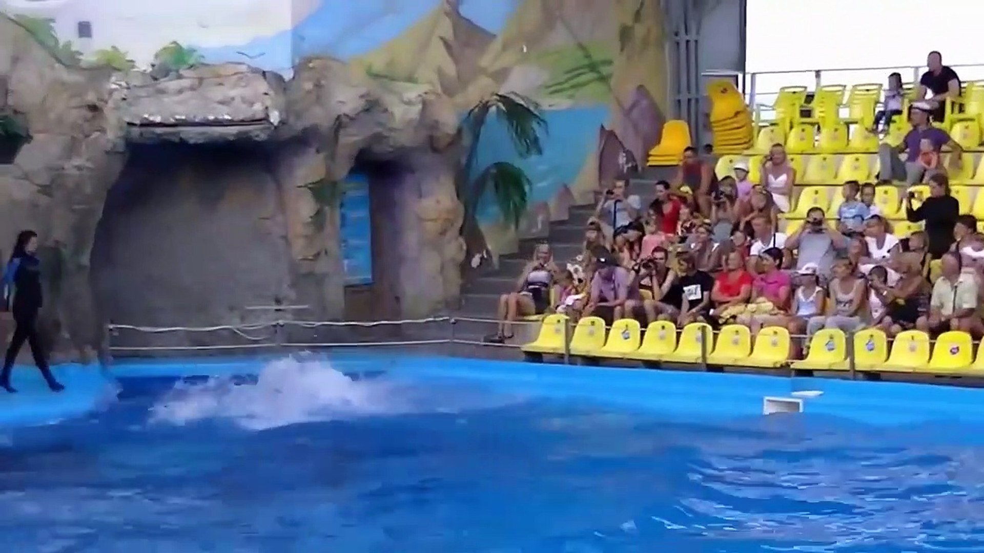 Learn Real Sea Animals For Kids Learn Animals Name In Toys On X: