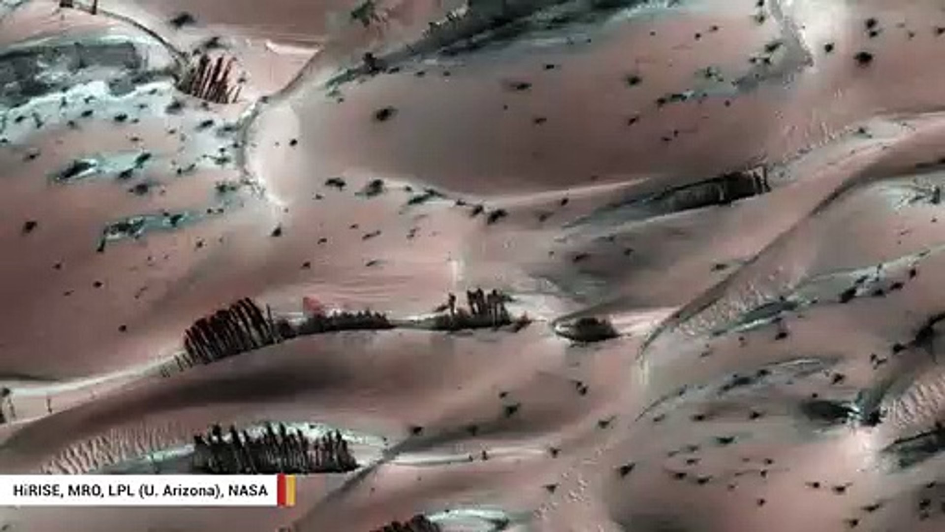 Nasa Photos Of Mars Trees Explained: How Did NASA's Perseverance
