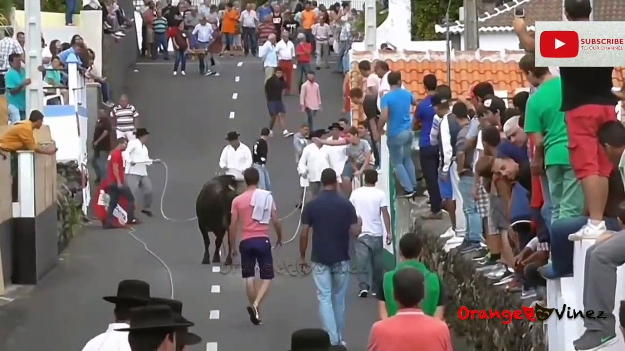 Bullfighting_ Bulls Most viewed Toro - Matador _ Funny memes - video ...