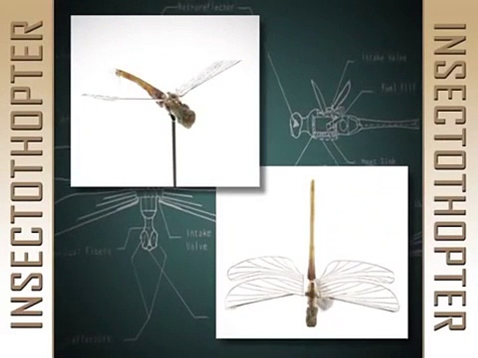 Insectothopter: The Bug-Carrying Bug - video Dailymotion