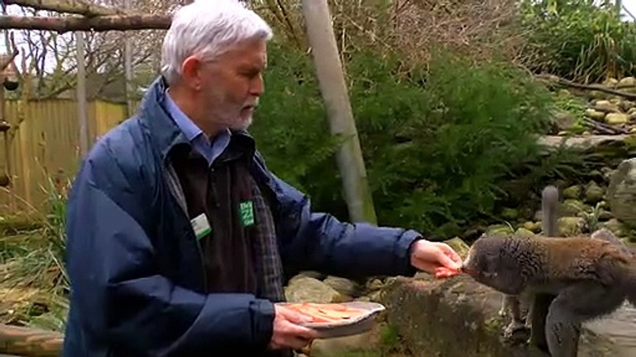 The Curator Of Animals At Bristol Zoo Gardens Retires! - video Dailymotion