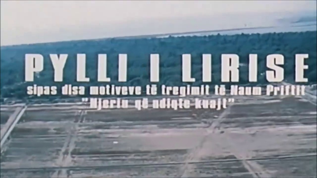 Pylli i lirise - pjesa 1HD - video Dailymotion