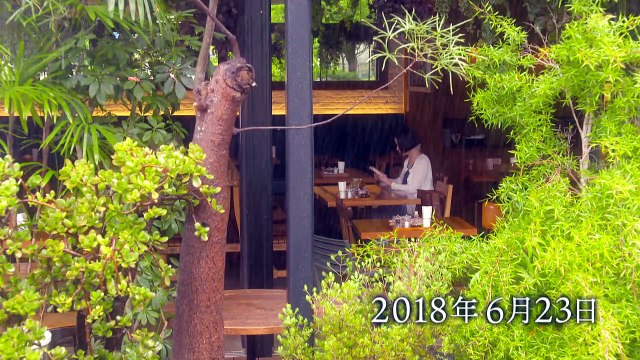 Wilson Liew videos - Dailymotion