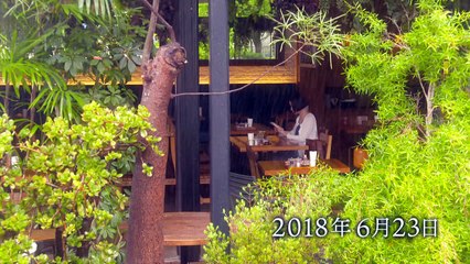 Wilson Liew videos - Dailymotion