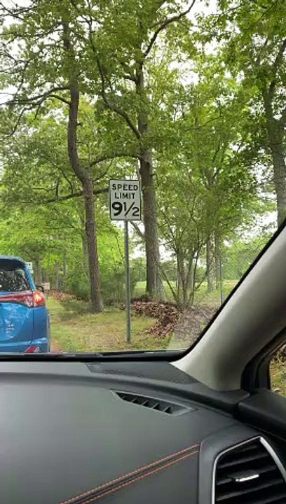 Odd Speed Limit Keeps Traffic Slow - video Dailymotion