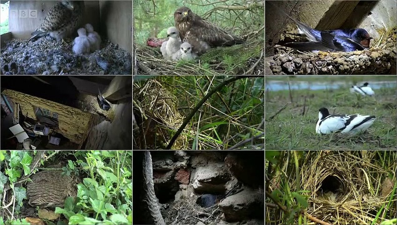 Springwatch episode 1 2021 - video Dailymotion