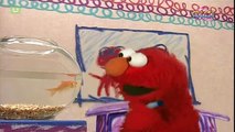 El Mundo de Elmo: Cosas Favoritas de Elmo (DVD Completo) (Español ...