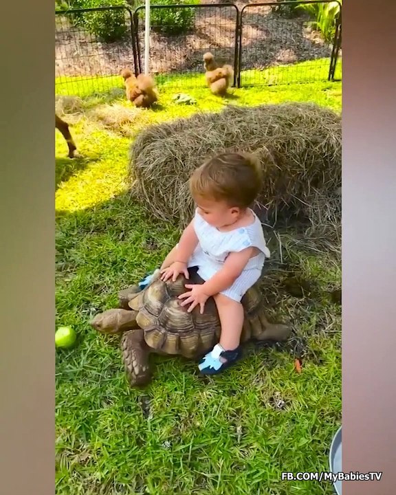 Funniest Baby Meets Animals - video Dailymotion