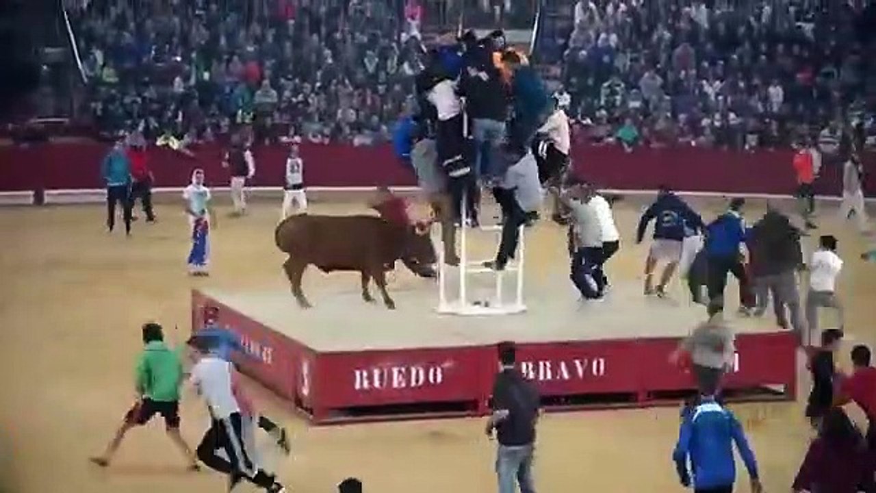 Dangerous Bull Fight Accidents Compilation 2018 Lucky and Funny People ...