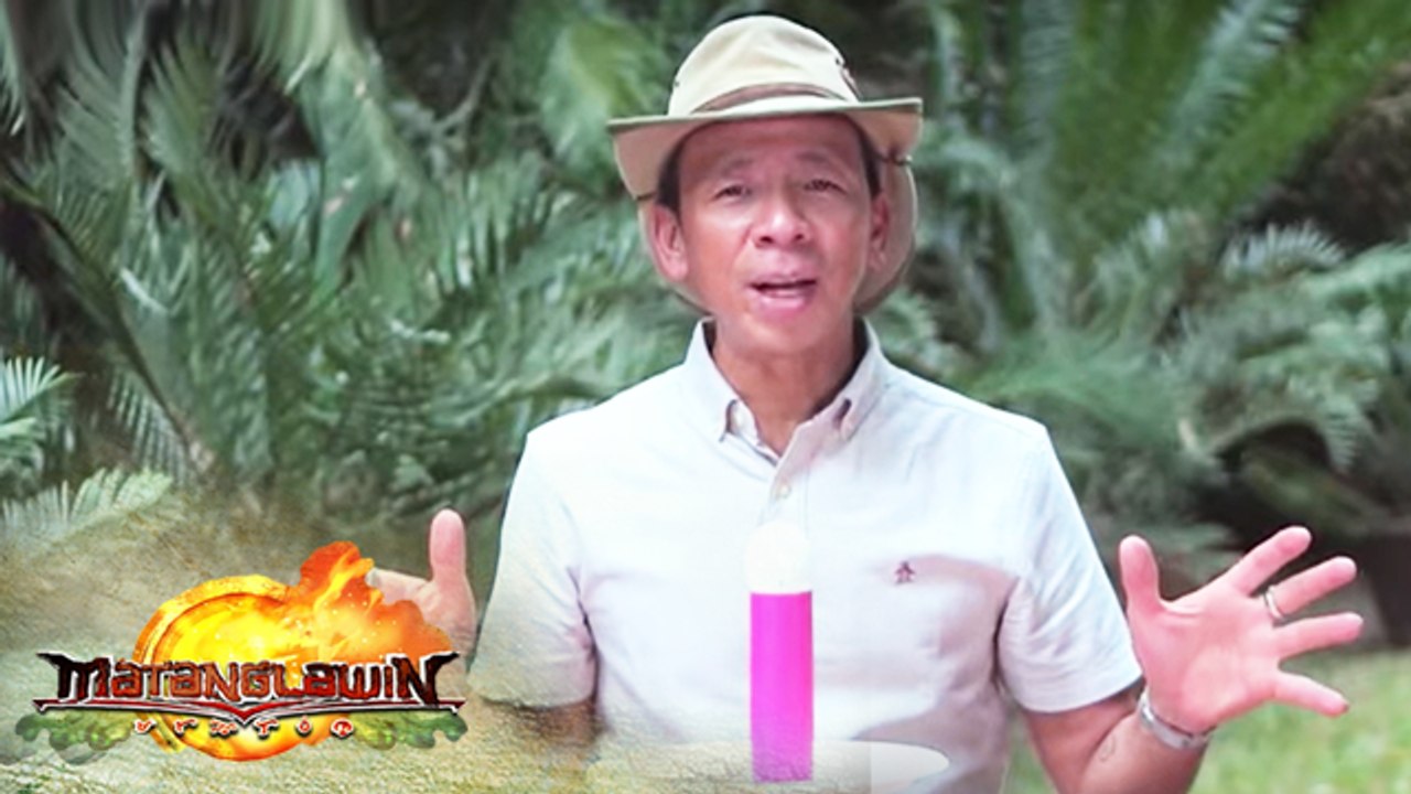 Kuya Kim's Palaisipan Challenges | Matanglawin - video Dailymotion