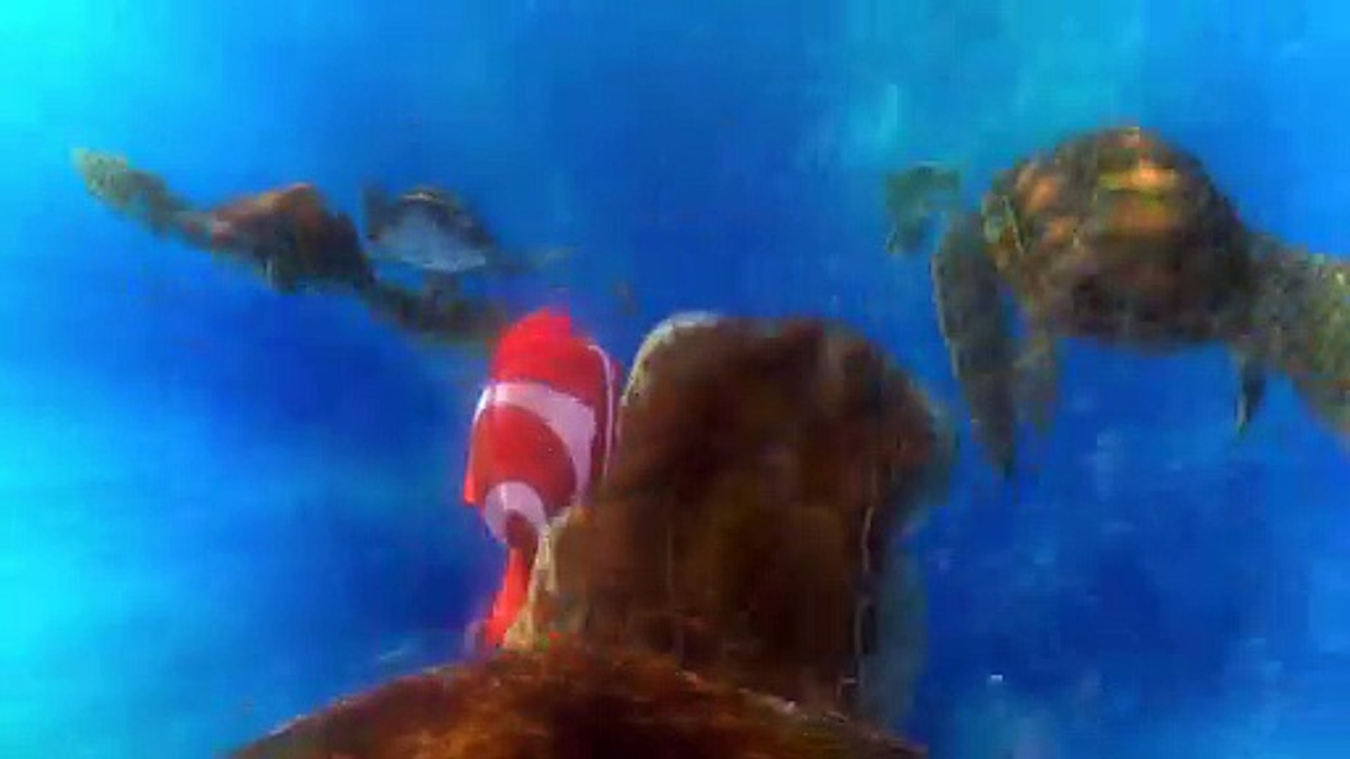 Amigo Buscando A Nemo 3d
