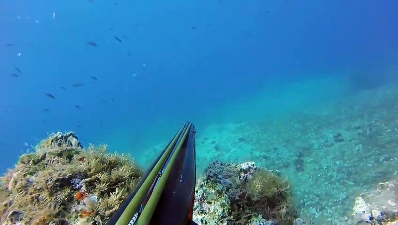 Zıpkınla Liça Balığı 11 KG - Spearfishing 24lb Lica Fish - Dailymotion ...