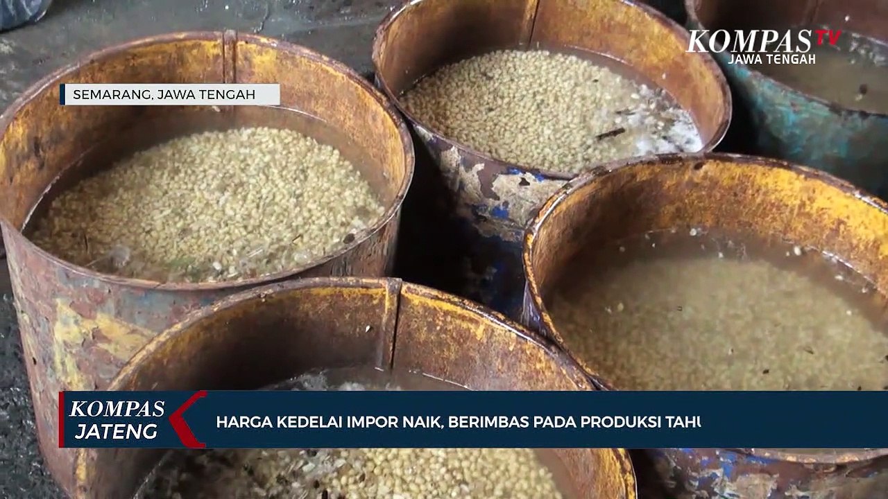Harga Kedelai Impor Naik, Berimbas Pada Produksi Tahu dan Tempe - Video ...