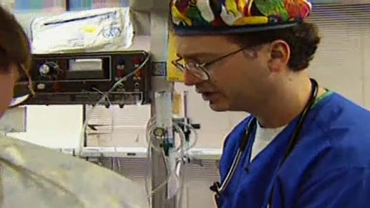 Forensic Files - S03E01 - Death By Poison - Without A Trace - video ...