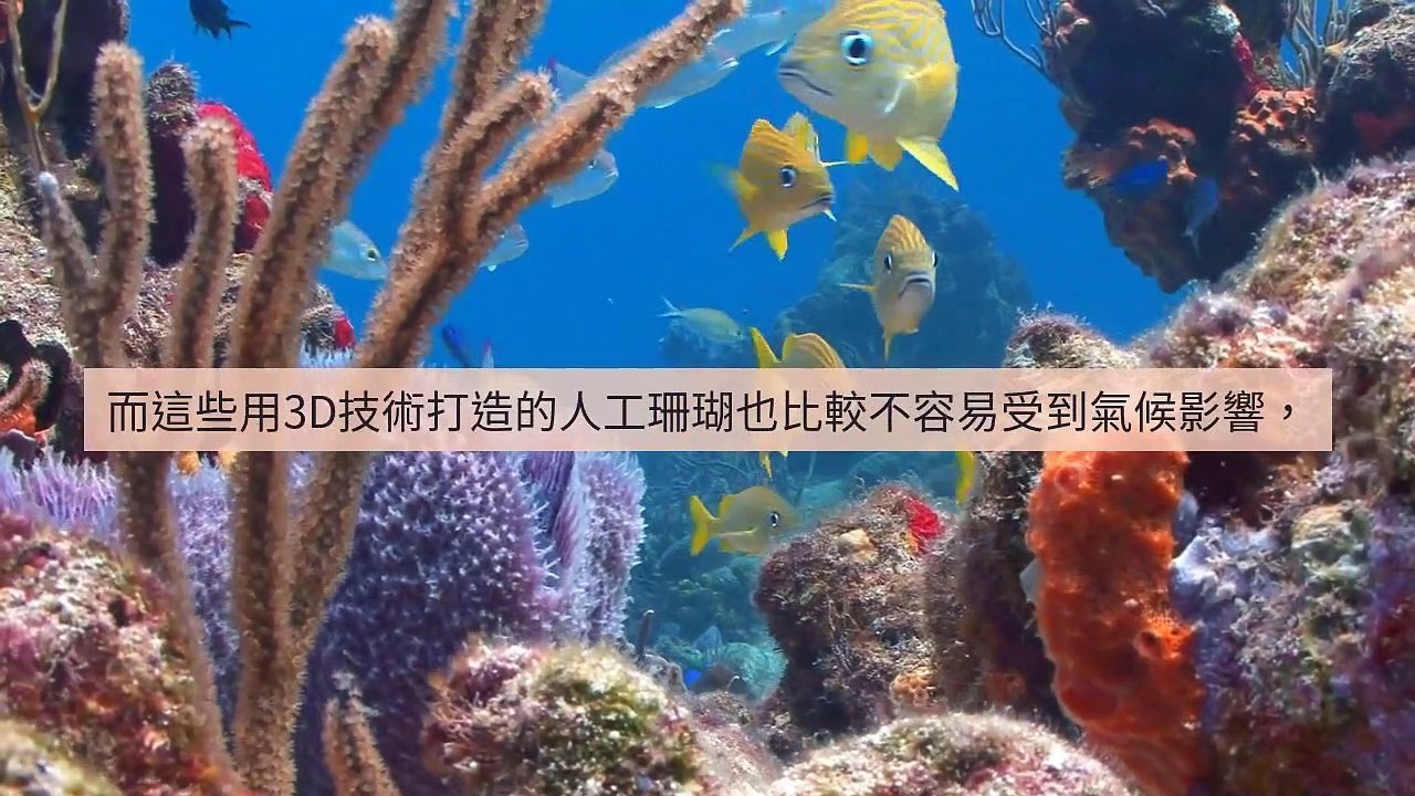 adgeek_teepr_curation_mobile_bottom-copy4-20200414-18:58─影片 Dailymotion