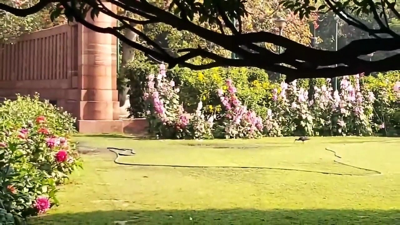 Corona Effect : कोरोना का फायदा, बच गए प्रदूषण से मरने वाले | Janta ...