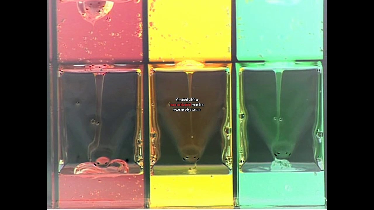 Baby Mozart 2003 in G Major - video Dailymotion