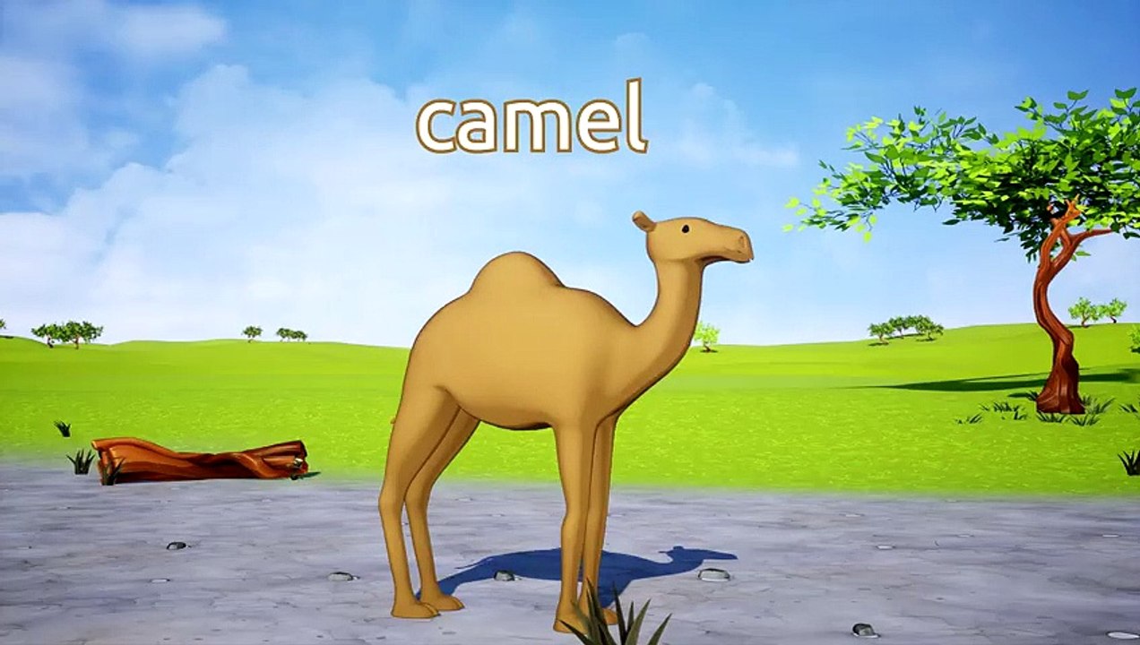 Wild animals name and sound - video Dailymotion