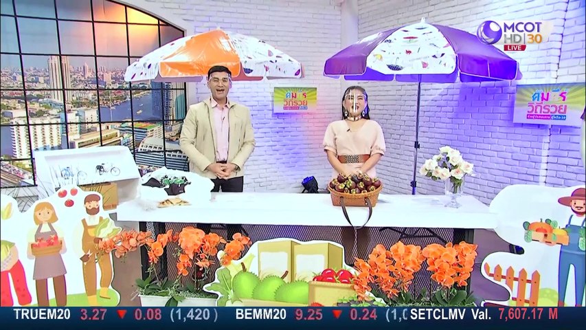 วิดีโอ 9 MCOT - Dailymotion