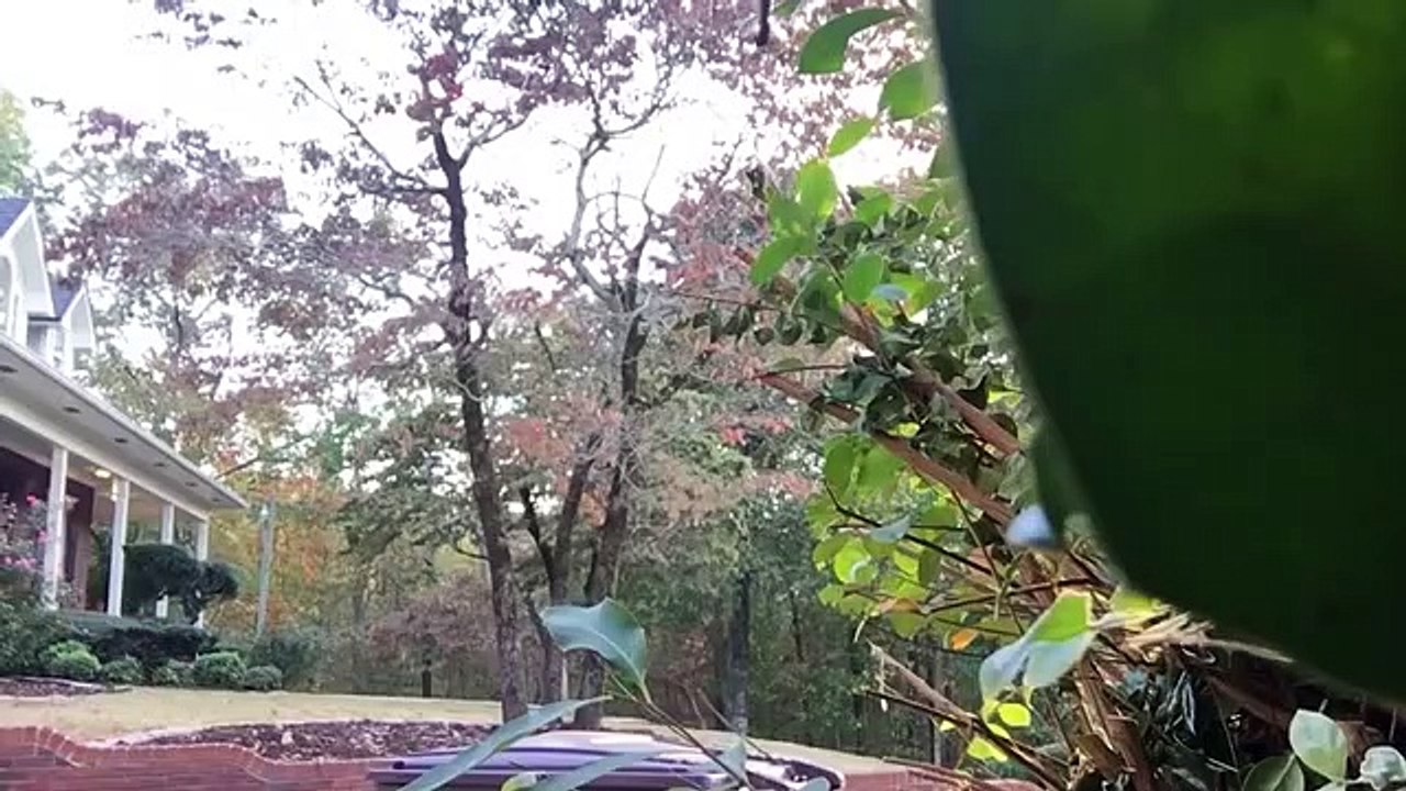 Funny_Pranks_Compilation___AFV_Funniest_Prank_Videos_2018(360p) - video ...