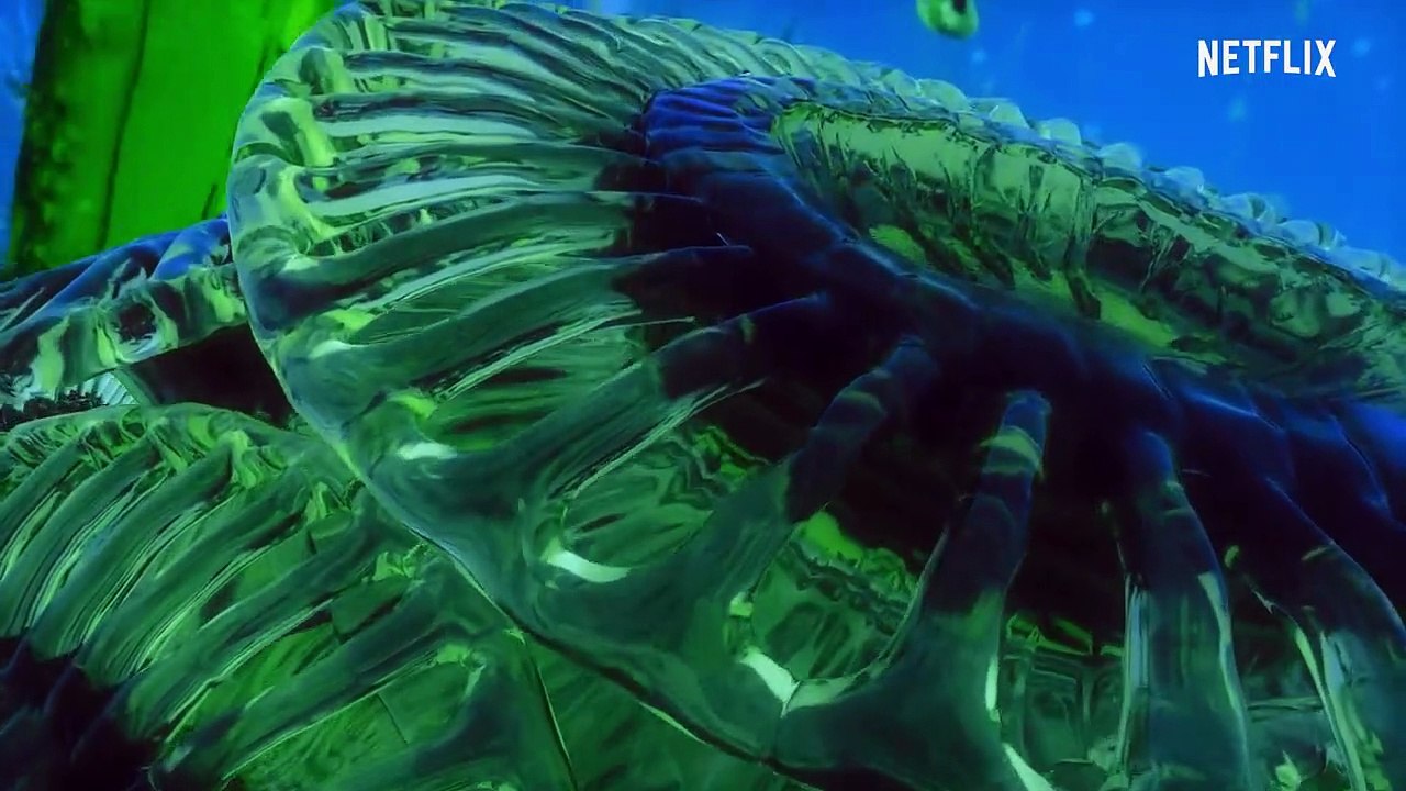 Our Planet - High Seas - FULL EPISODE - Netflix - video Dailymotion