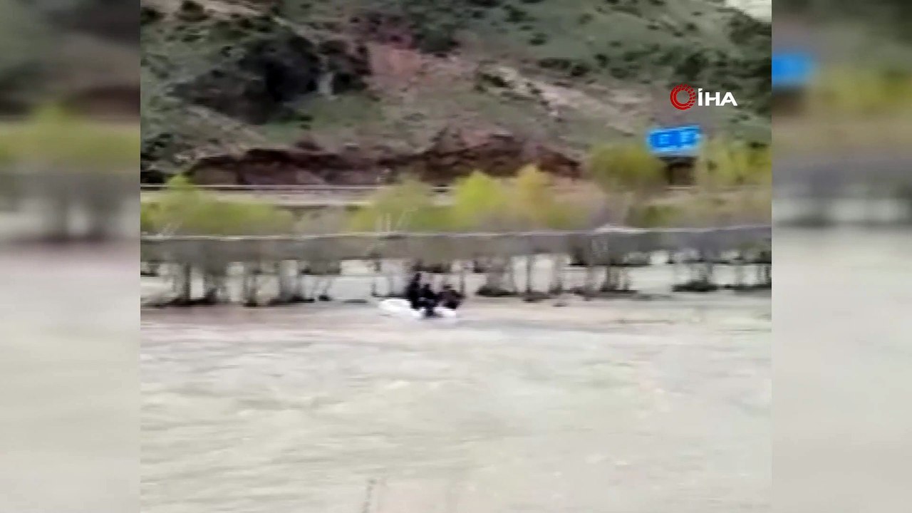 Aras Nehri’ne düşen danayı AFAD ekipleri böyle kurtardı - Dailymotion Video