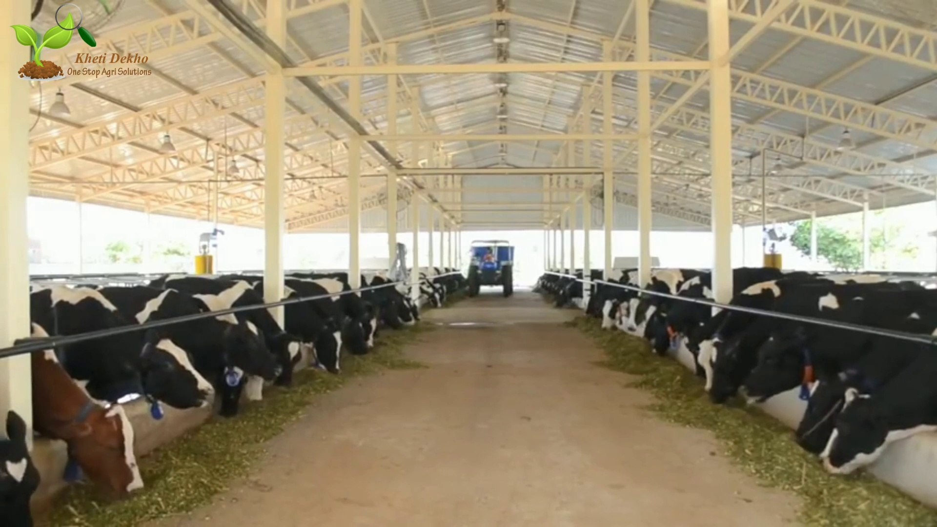 Indian Dairy Farm Design