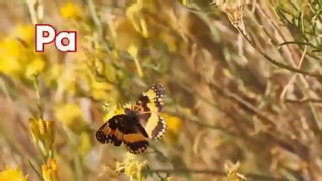 Part_Time_Work - video Dailymotion