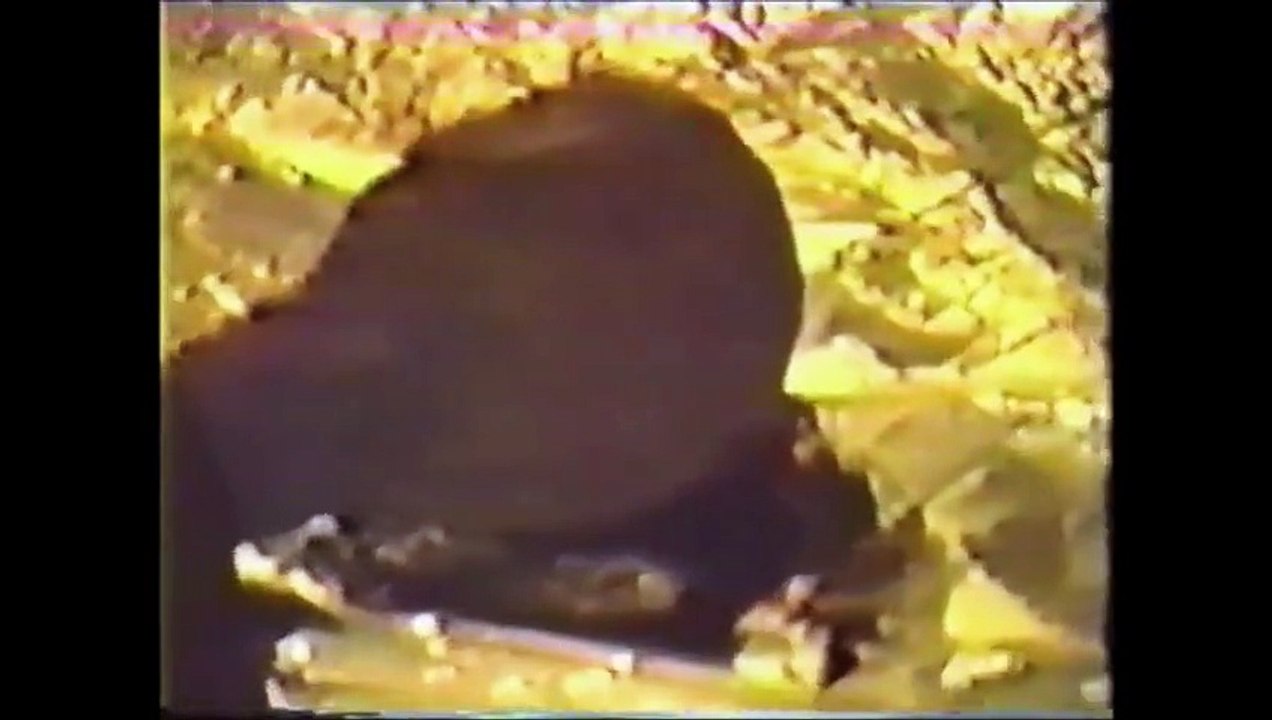 The Jonathan Reed Alien Encounter (1996) - video Dailymotion