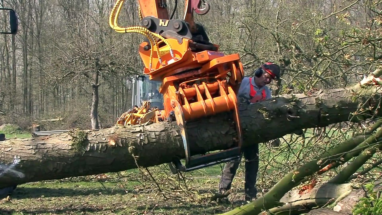 Cutting Trees with an Excavator | Innovative Tree Shear | Forestry and ...
